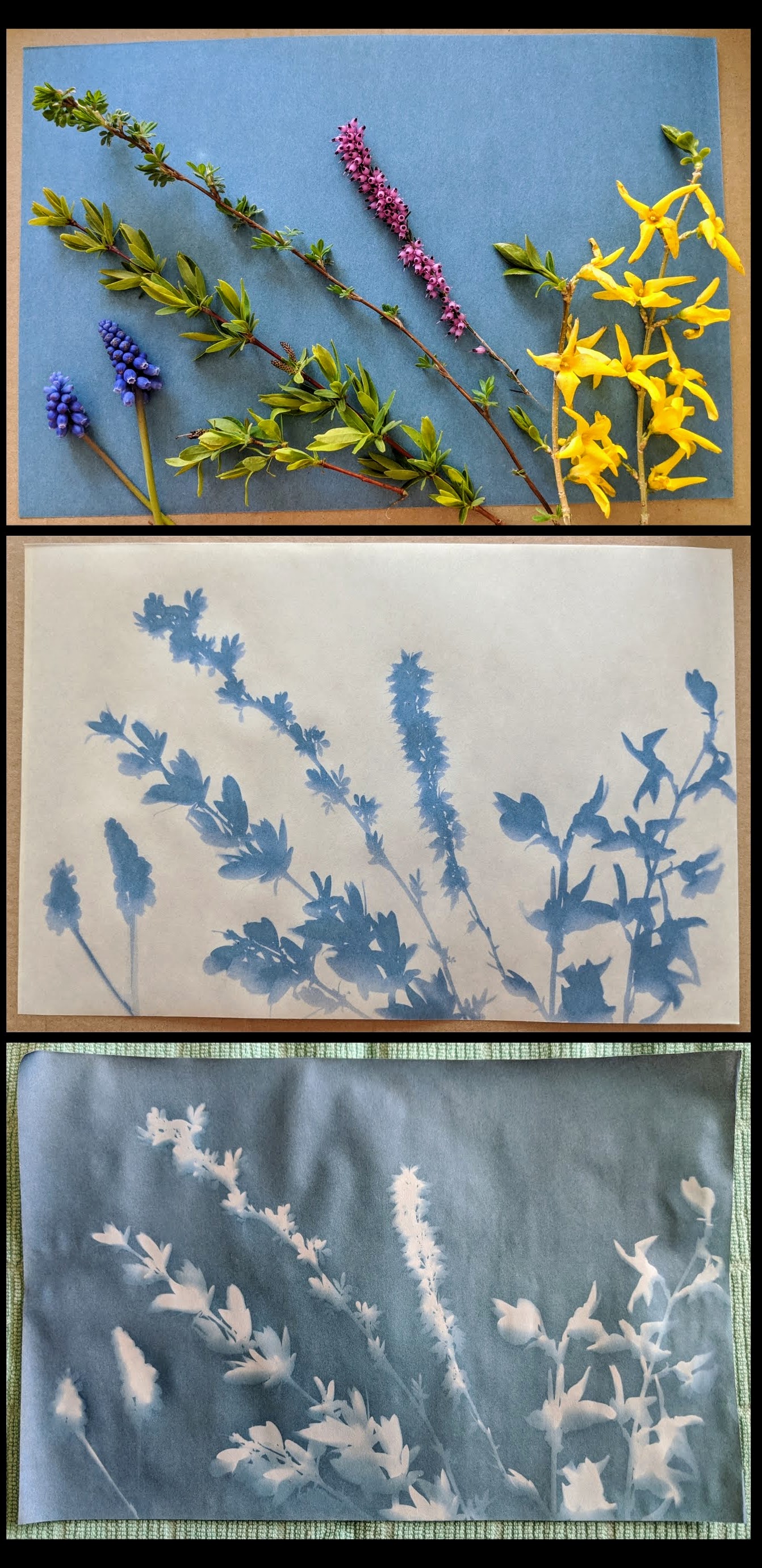 Photosensitive Paper Art – a source for crafting ideas, recipes, and more