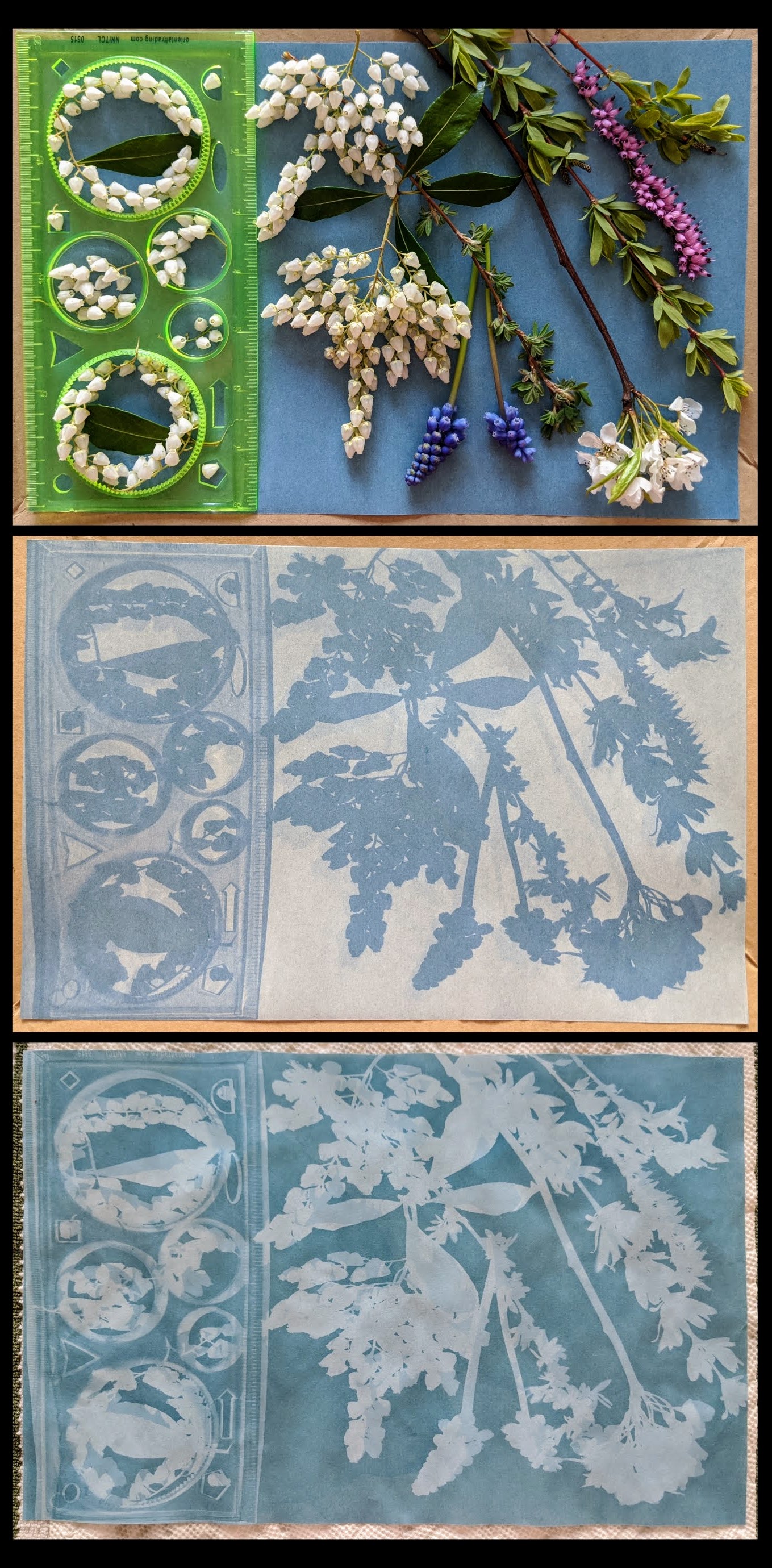 Photosensitive Paper Art – a source for crafting ideas, recipes, and more